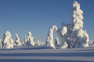 Plan Your Trip to Lapland: Travel Tips & Guides