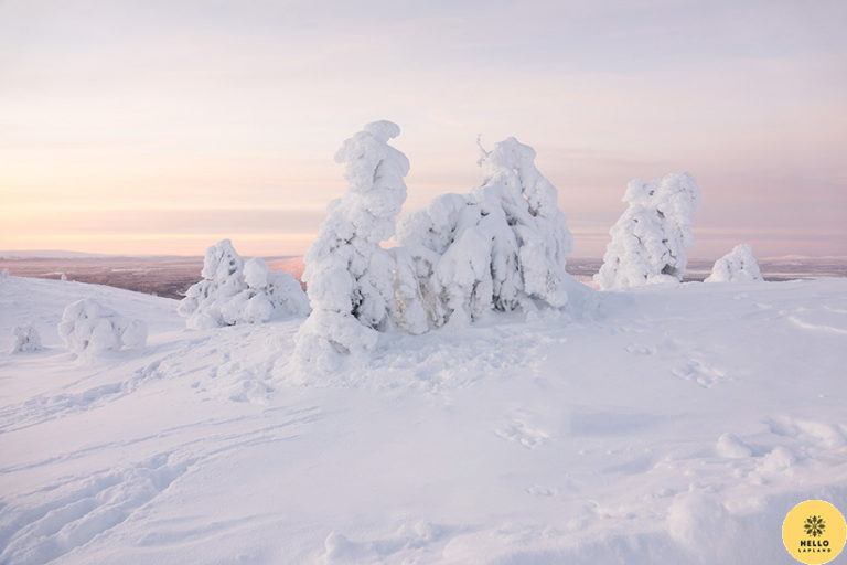 Things to Do in Levi | Best Winter Activities in Finnish Lapland
